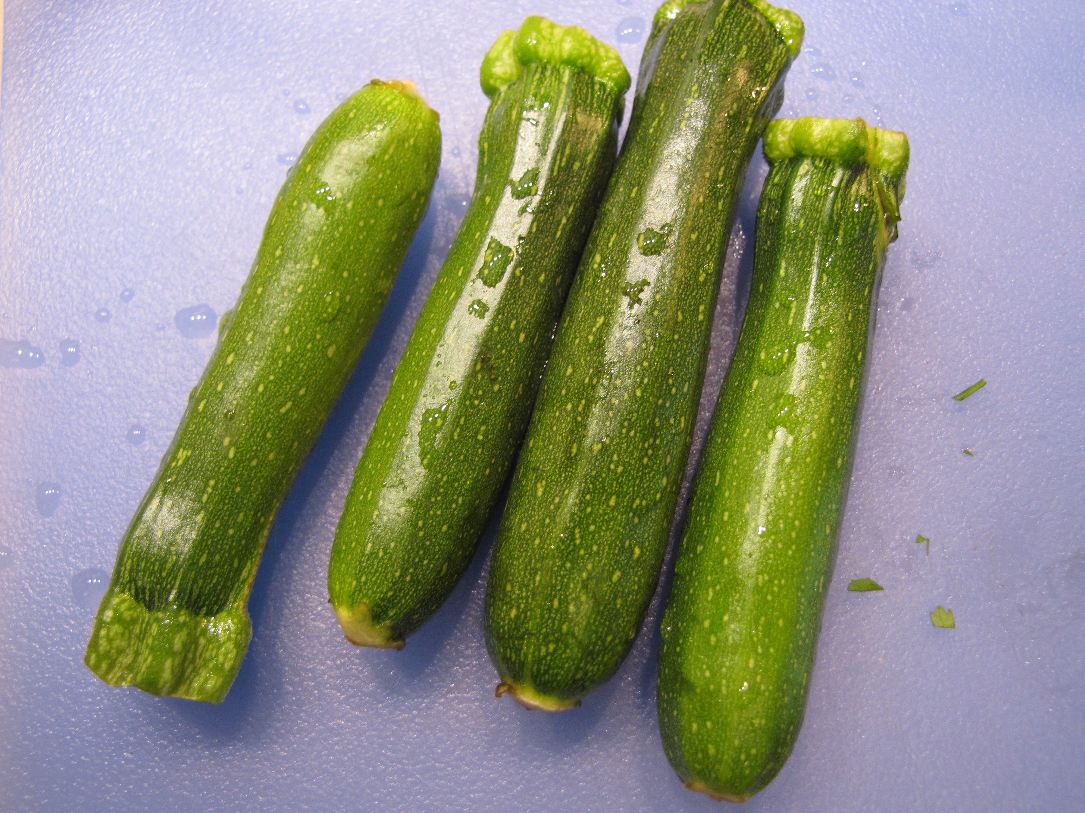 foodie fights, battle zucchini and garam masala | nom! nom! nom! blog.com